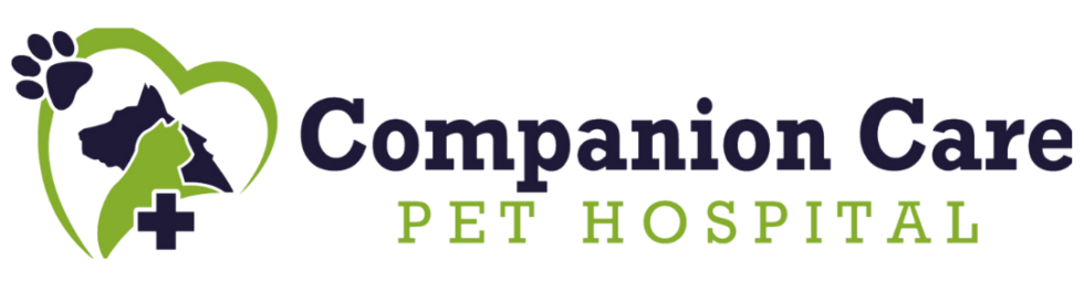 Best Vet Sanford & Winter Park | Companion Care Pet Hospital
